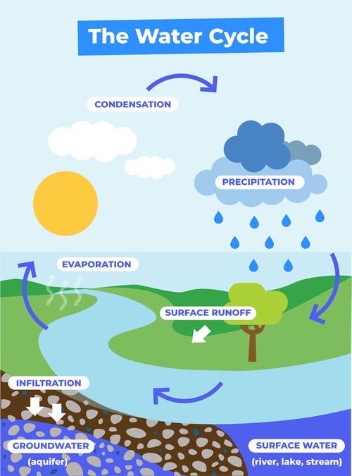 Want to Know More About the Water Cycle? Keep Reading! | GoStudent