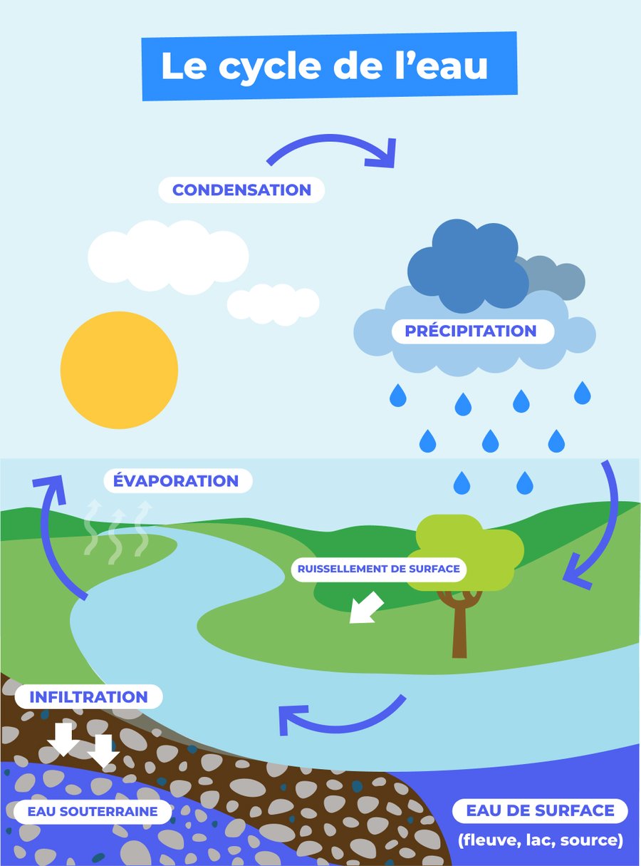 Comment fonctionne le cycle de l’eau ? (Schéma PDF) | GoStudent